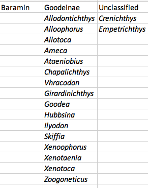 Baraminology of Goodeidae – In His Image